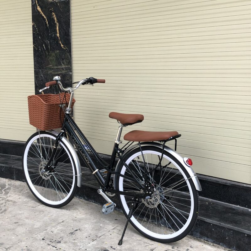 Xe đạp Vicky Lady bánh 26 khung thép cho nữ rẻ nhất thị trường – Bike Plus