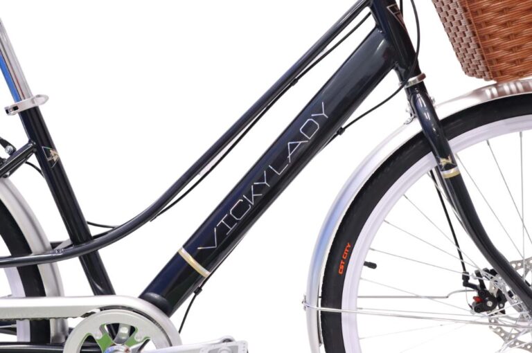 Xe đạp Vicky Lady bánh 26 khung thép cho nữ rẻ nhất thị trường – Bike Plus
